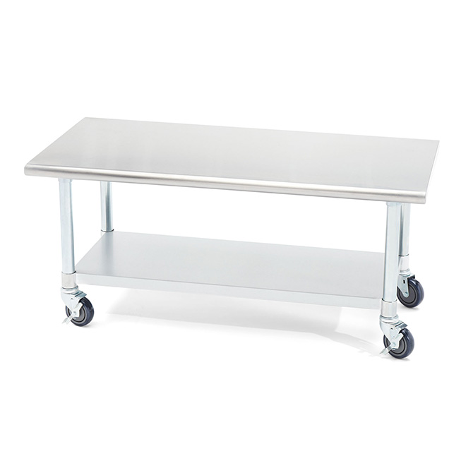 Action Target : ICART Stainless Steel Rolling Work Stand