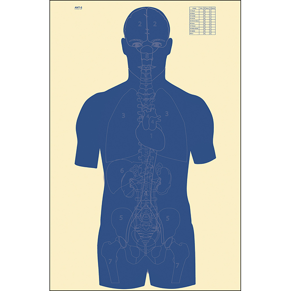 Law Enforcement Targets | Action Target : Vital Anatomy Target