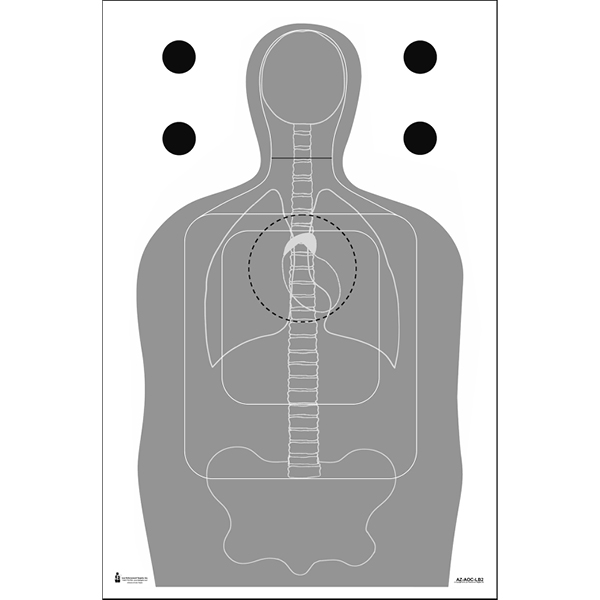 Action Target : 2016 Maricopa Co Adult Probation Target