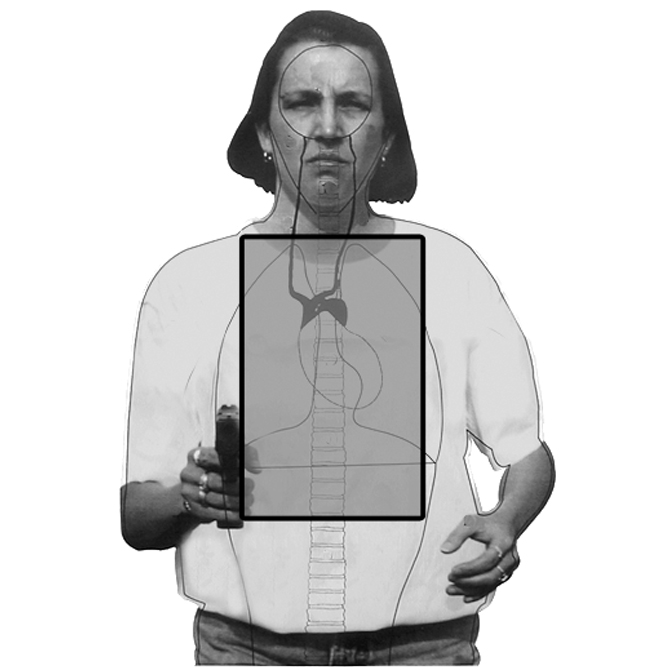 Law Enforcement Targets | Action Target : Illinois State Police Basic ...