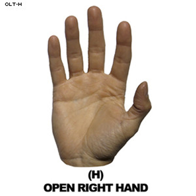 Law Enforcement Targets | Action Target : Open Right Hand Hand Overlay