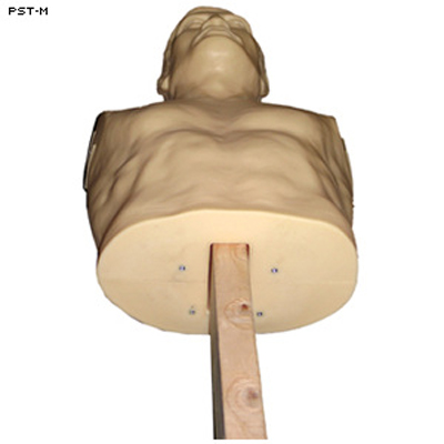 Action Target : 3D Plastic Torso Target