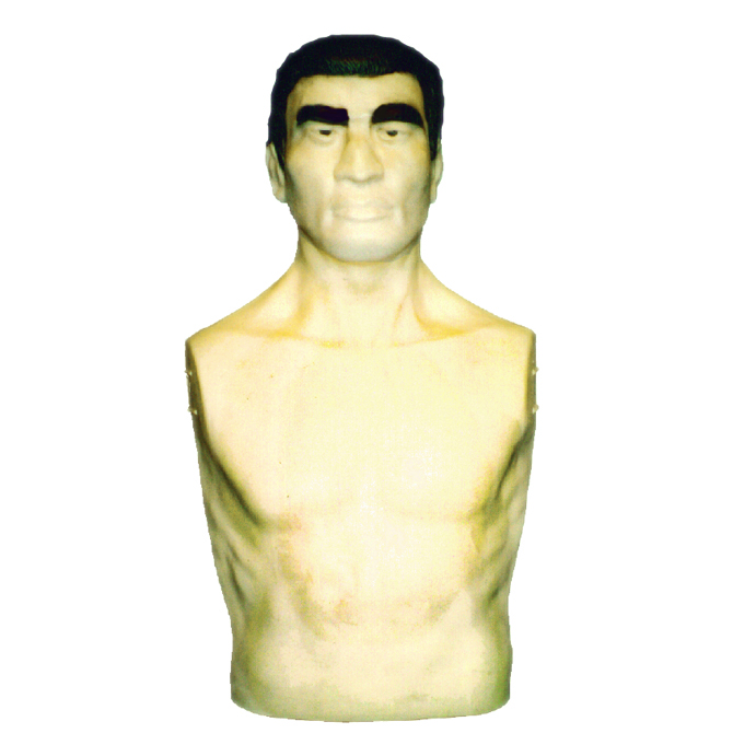 Action Target : 3D Plastic Torso Target