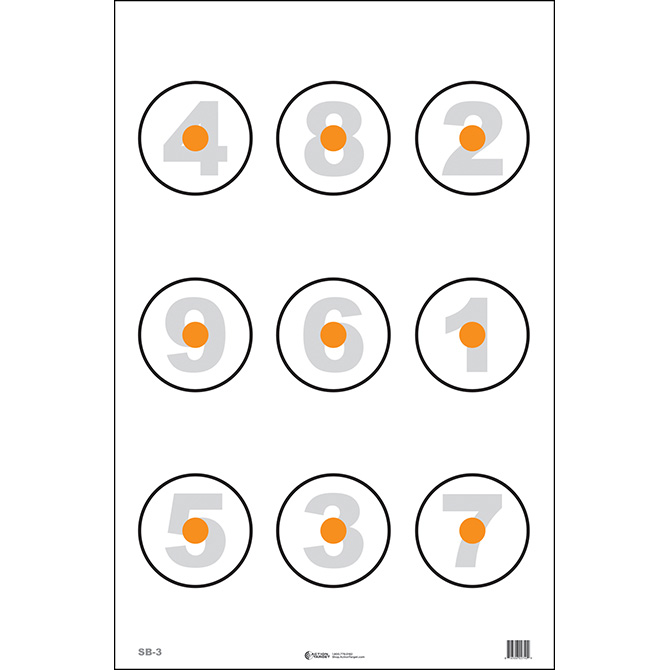 Action Target : MN Center for Criminal Justice Basic Skill Builder ...