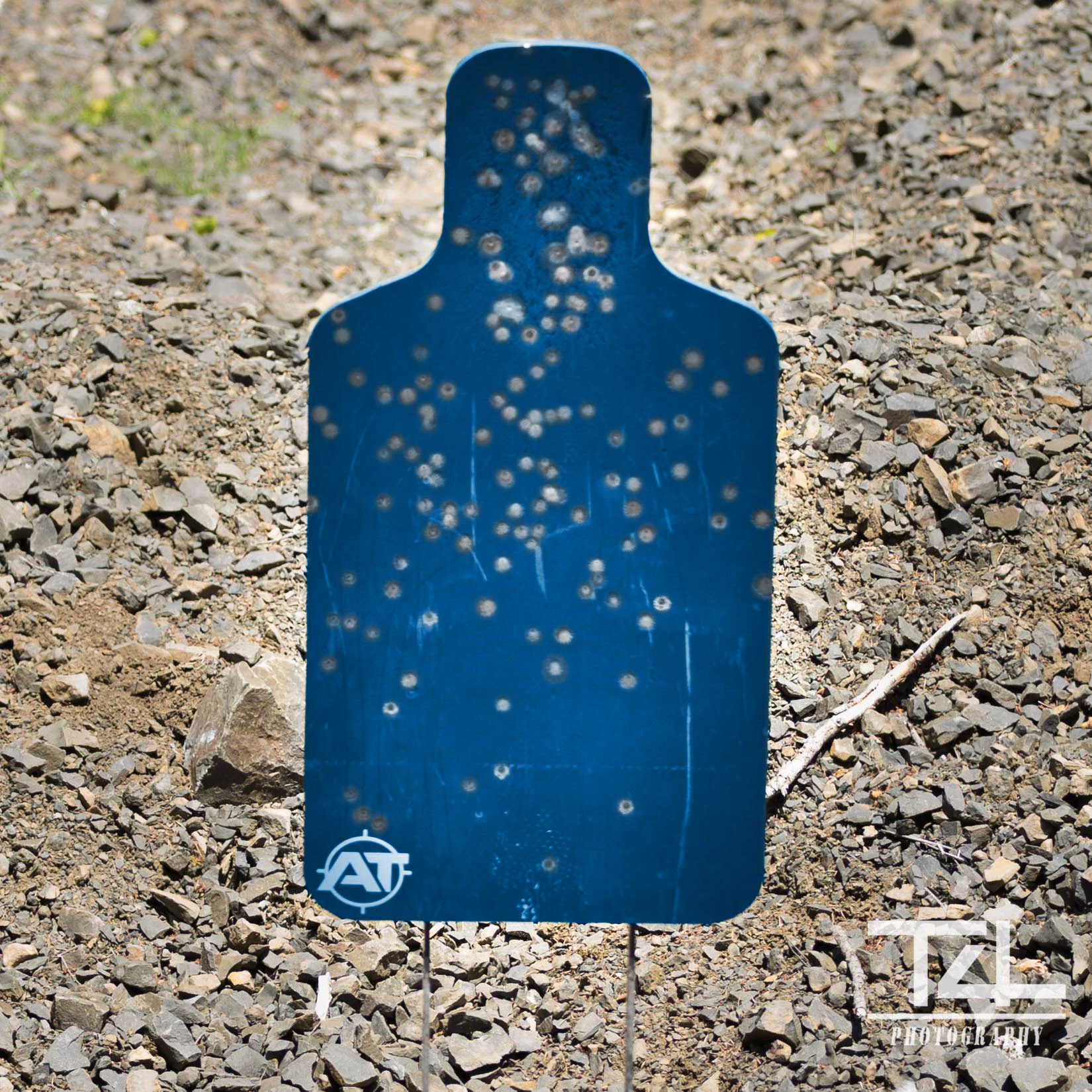 Action Target: E-50 Silhouette