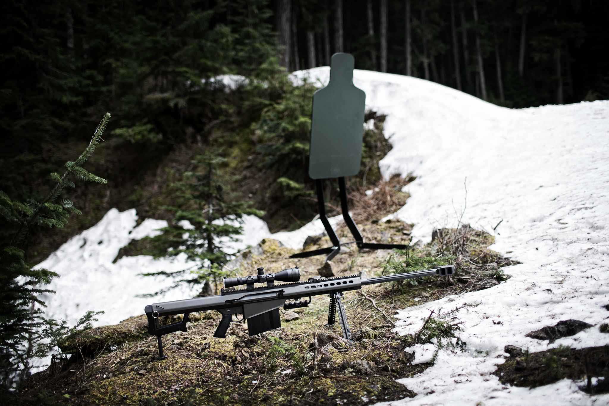 Action Target: E-50 Silhouette