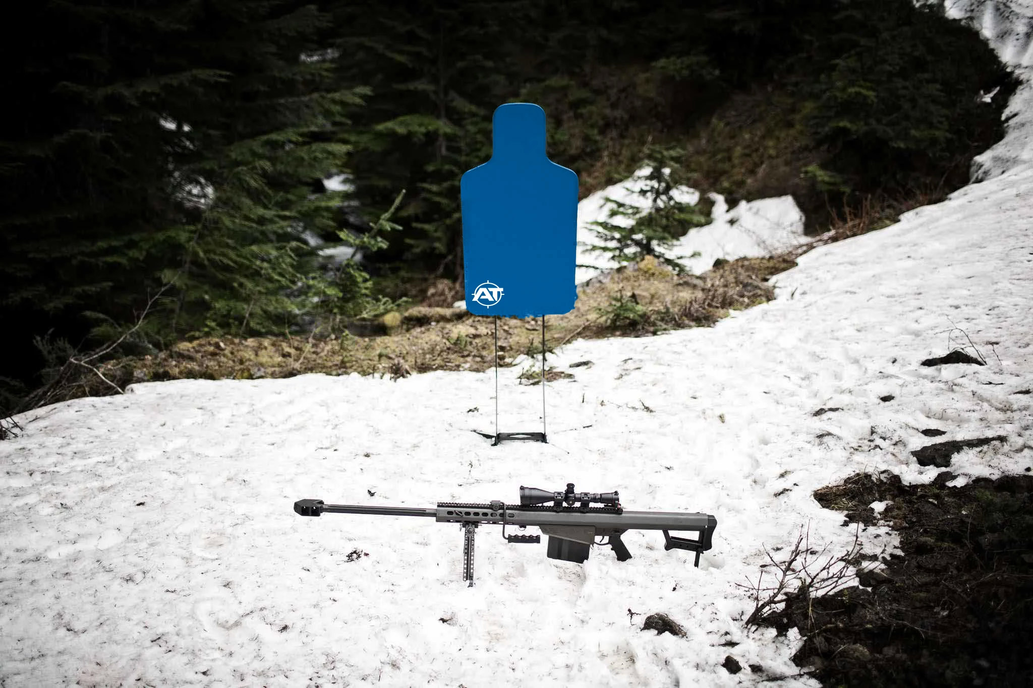 Action Target: E-50 Silhouette